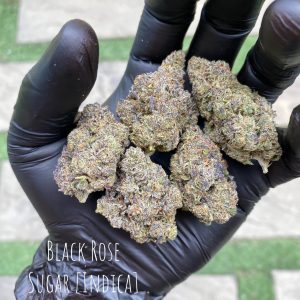 Exotic In Thailand – Exclusive Strains
