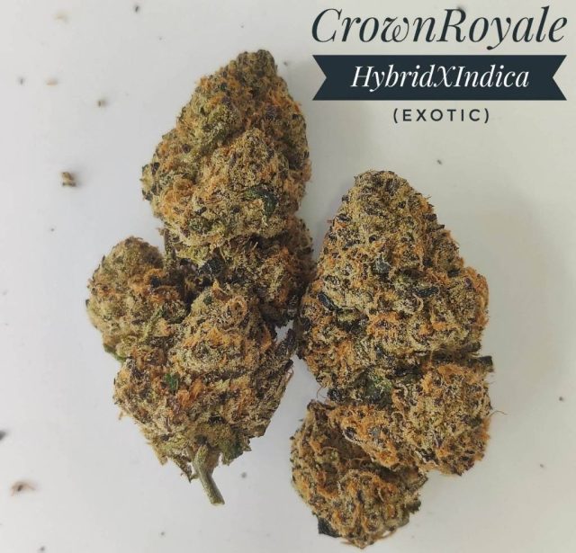 White Runtz – Exotic In Thailand