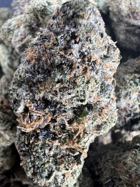 🖋️ Permanent Marker – Exotic In Thailand